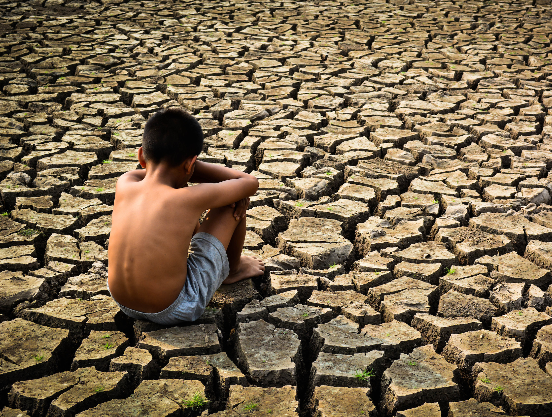 تغير المناخ: دراسة تتوقع أن يعيش أكثر من 3 مليارات شخص في حر شديد بحلول ...